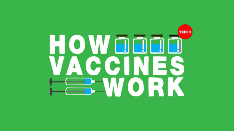 How Vaccines Work | VaccineInformation.org